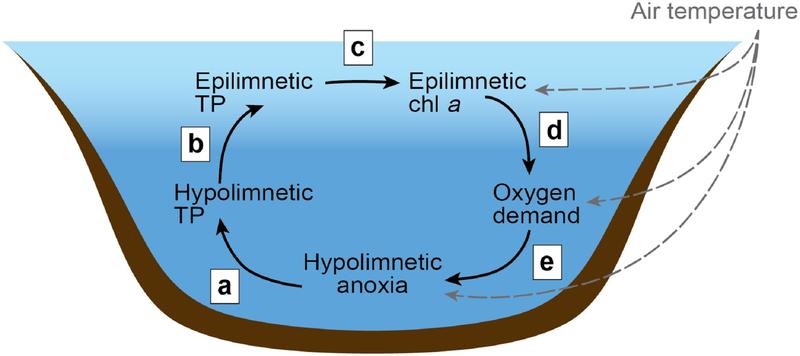 Proposed Deoxygenation of Lakes in Temperate Climate Zones – C. Mei ...