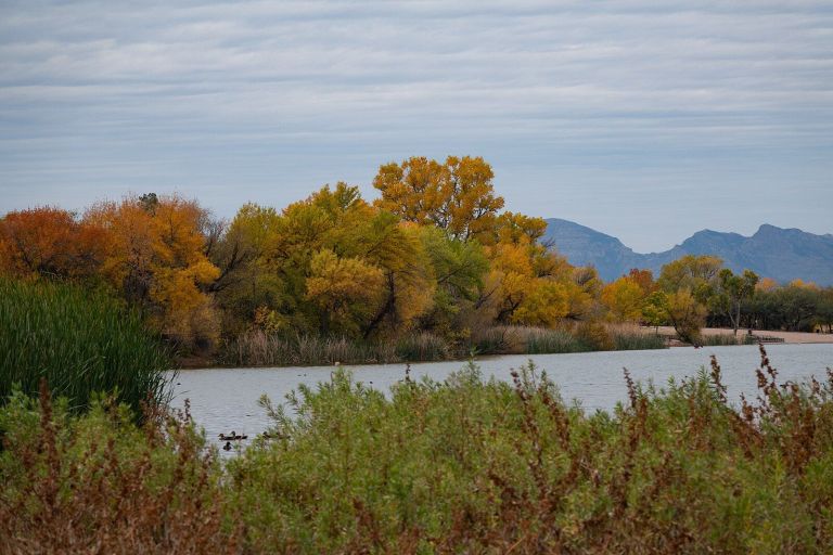 Investigation into Contaminated Mine Water Discharge – Patagonia ...